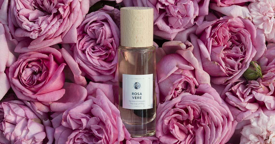 Rosa Vere - Rosae Virtus
