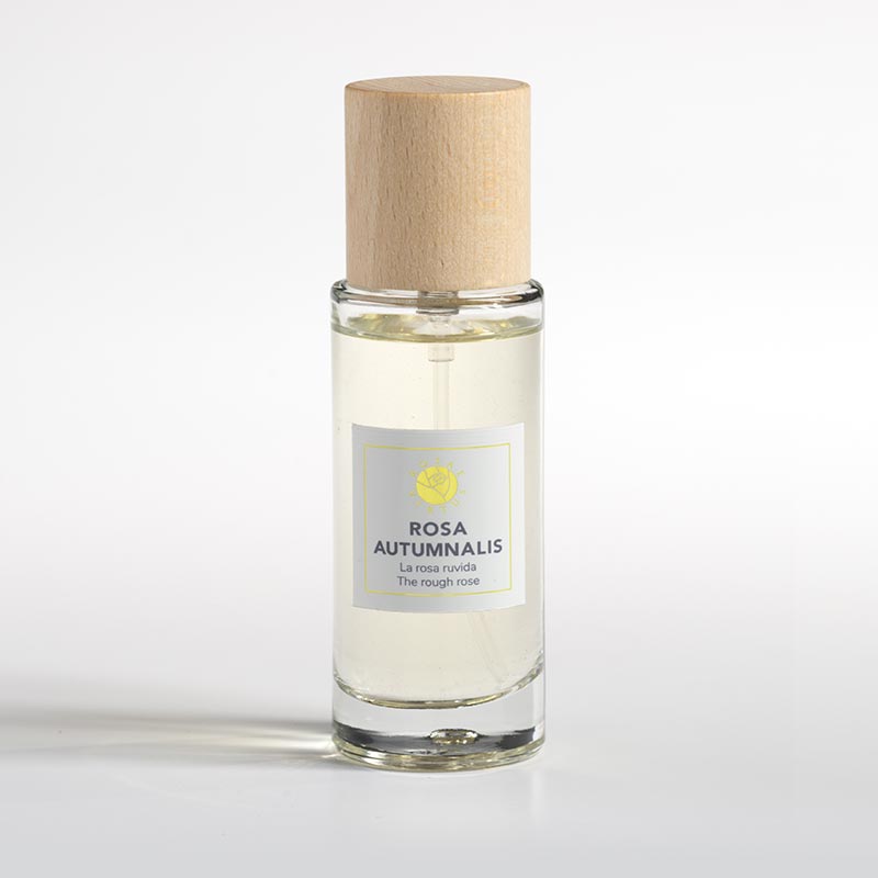 Rosa Autumnalis - Rosae Virtus